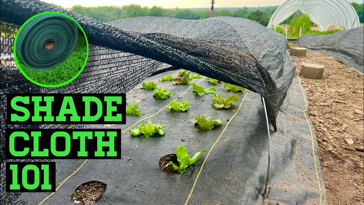 Shade Cloth 101: How to Select the Right Density for Your Plants ...